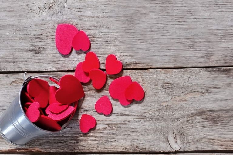 The Love Principle - Mary Rizk